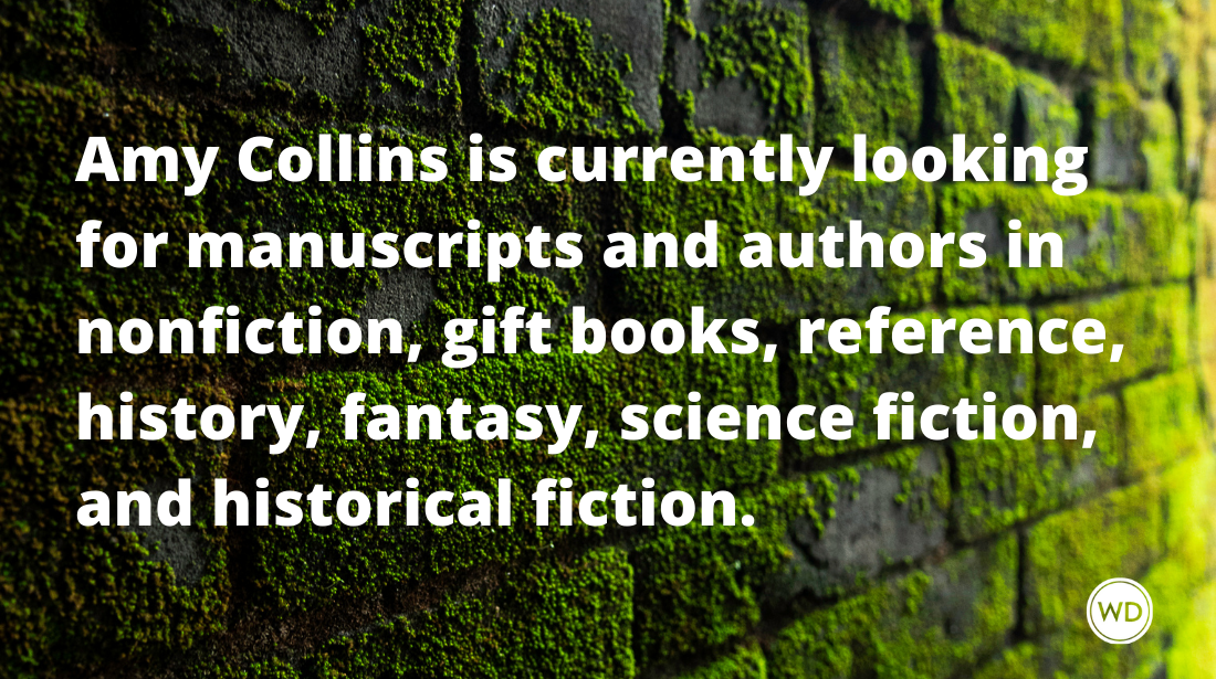 New Agent Alert: Amy Collins of Talcott Notch Literary Services