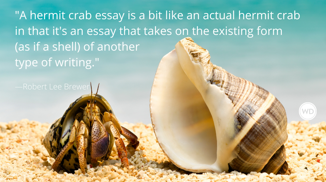 What Is a Hermit Crab Essay in Writing? - Writer's Digest